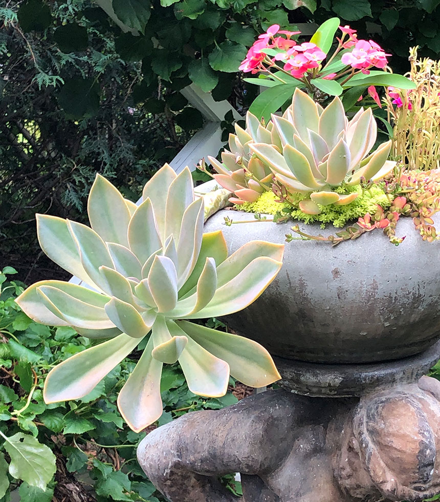 Landmark Landscaping